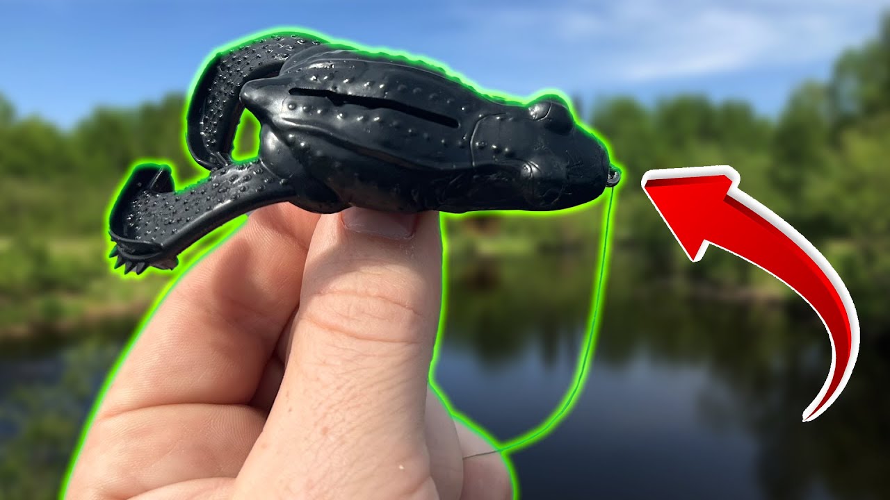 Fish SMASHED This Frog! Fall Topwater Fishing! - YouTube