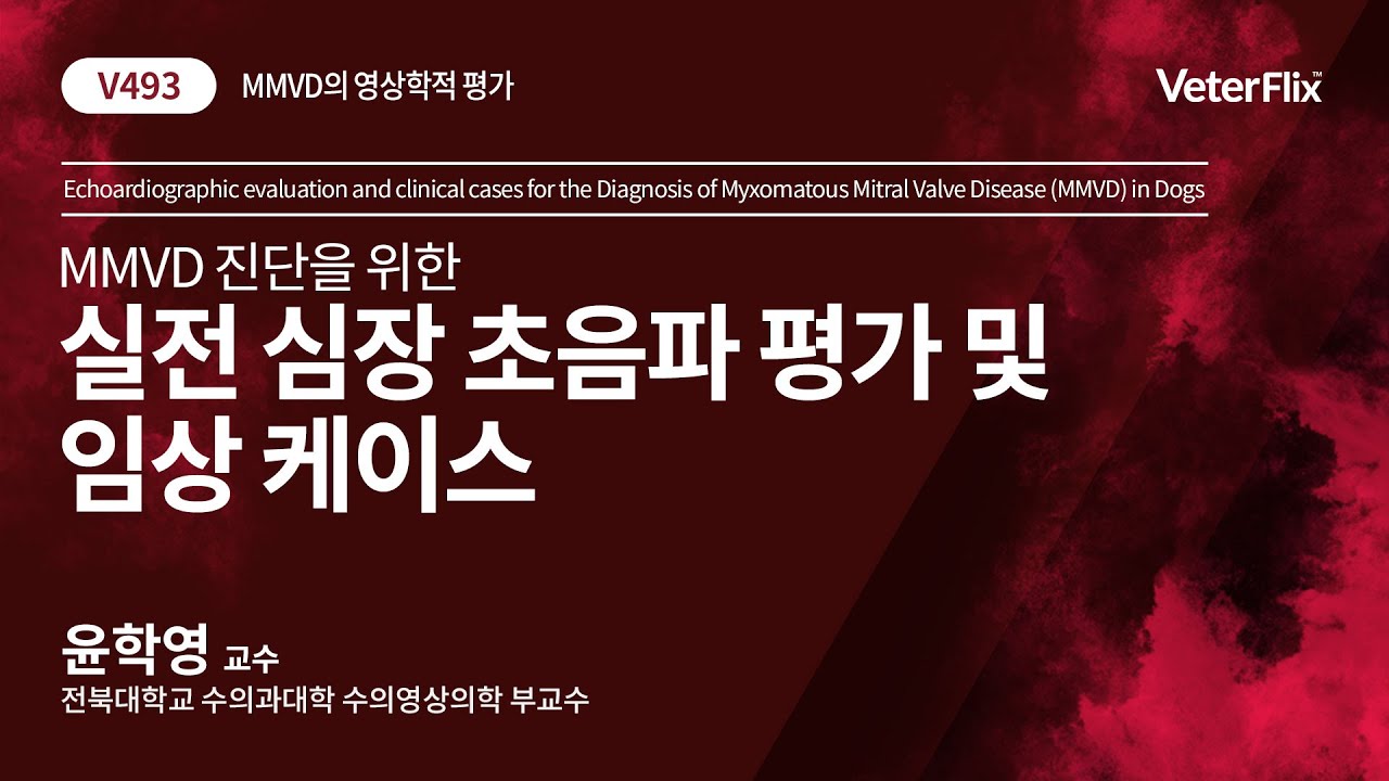 [베터플릭스]MMVD의 영상학적 평가_MMVD 진단을 위한 실전 심장 초음파 평가 및 임상 케이스 - YouTube
