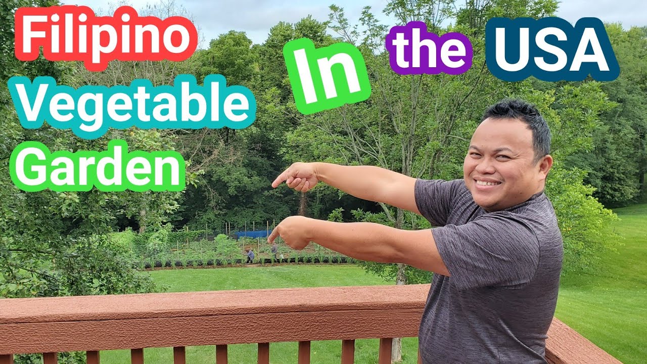 How to grow filipino vegetable garden in the USA - YouTube