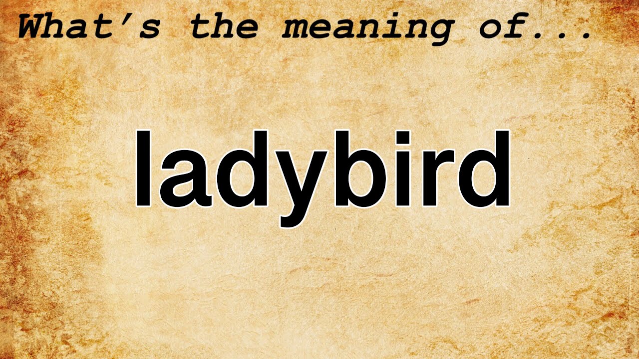 Ladybird Meaning : Definition of Ladybird - YouTube