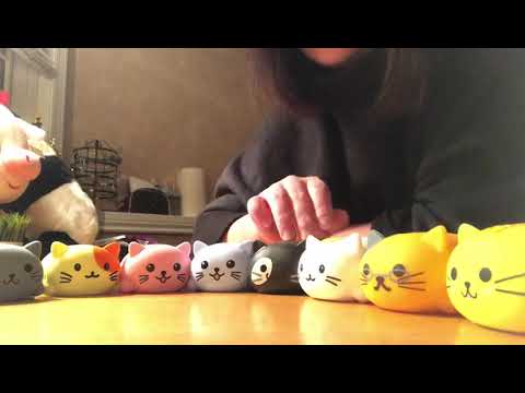 Play "Twinkle Twinkle Little Star" on Doremifa cats/Music Kittens ...