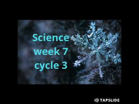 Cc cycle 3 week 7 Science - YouTube