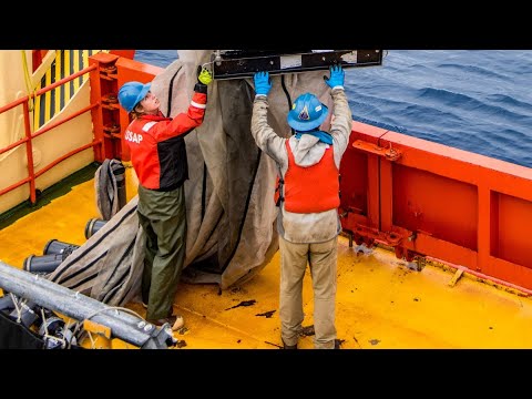 Ocean Occupation Profile | Kharis Schrage - YouTube
