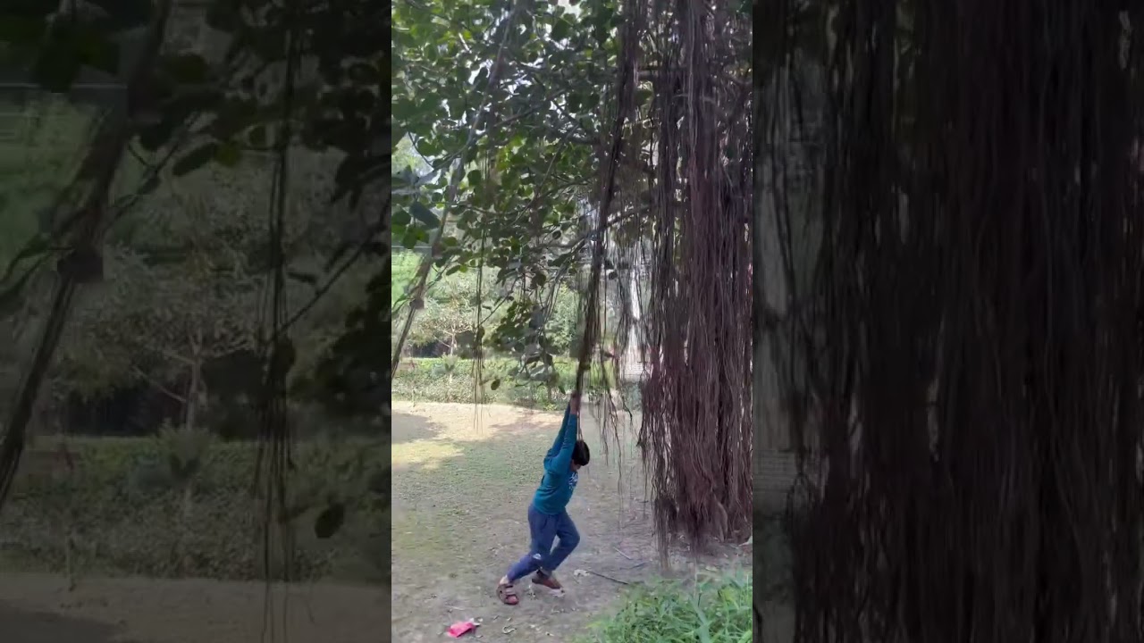 Playing with nature banyan tree 🌳 bargad vraksh 🌳🌴🌿🪴 - YouTube