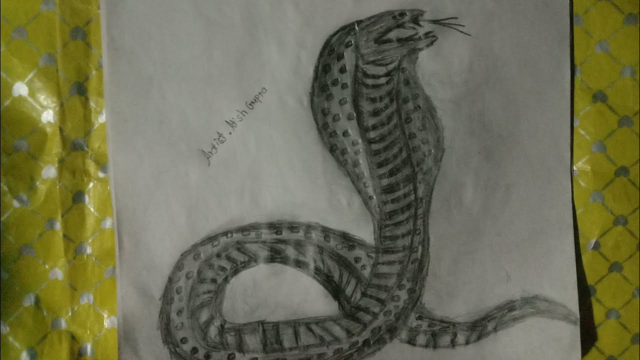 how to draw cobra snake step by step, Cobra snake draw🐍🐍please ...