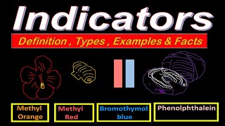Indicators Definition Types Examples and Facts |10th Cl... | Doovi