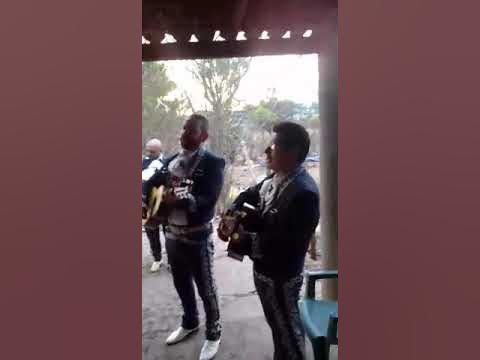 los laureles mariachi real concepción - YouTube