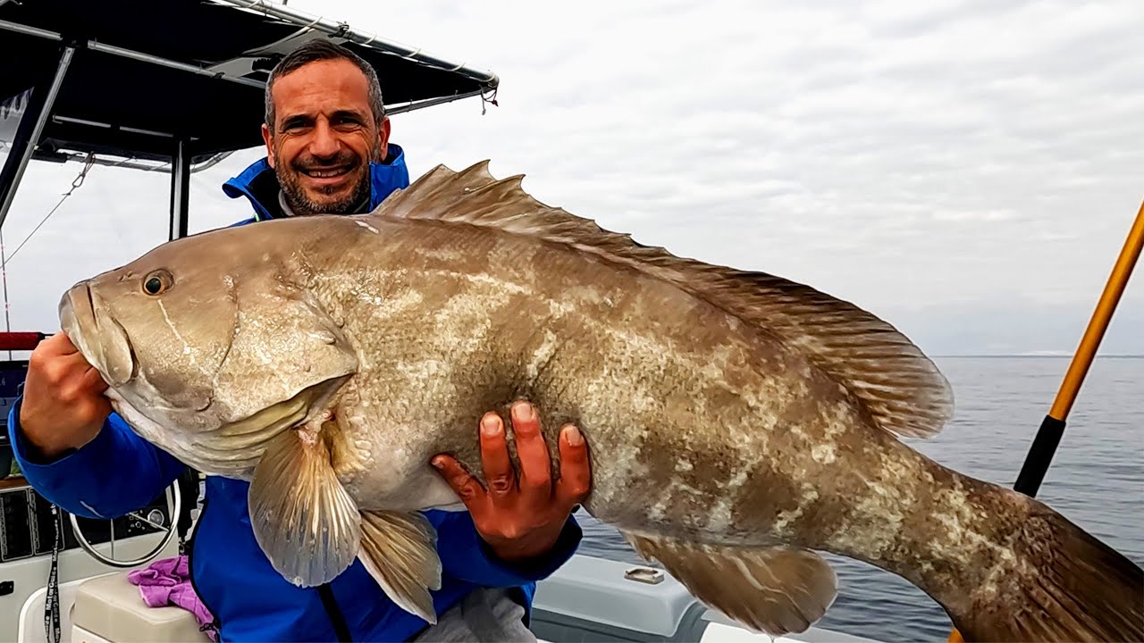 CERNIA 16,5 kg A SLOW: Il miglior modo di testare la mia Seaquake Tokyo ...