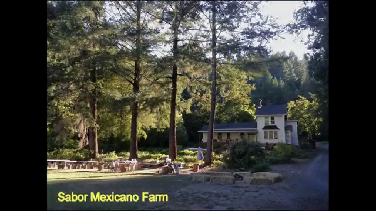 Sabor Mexicano Farm - YouTube
