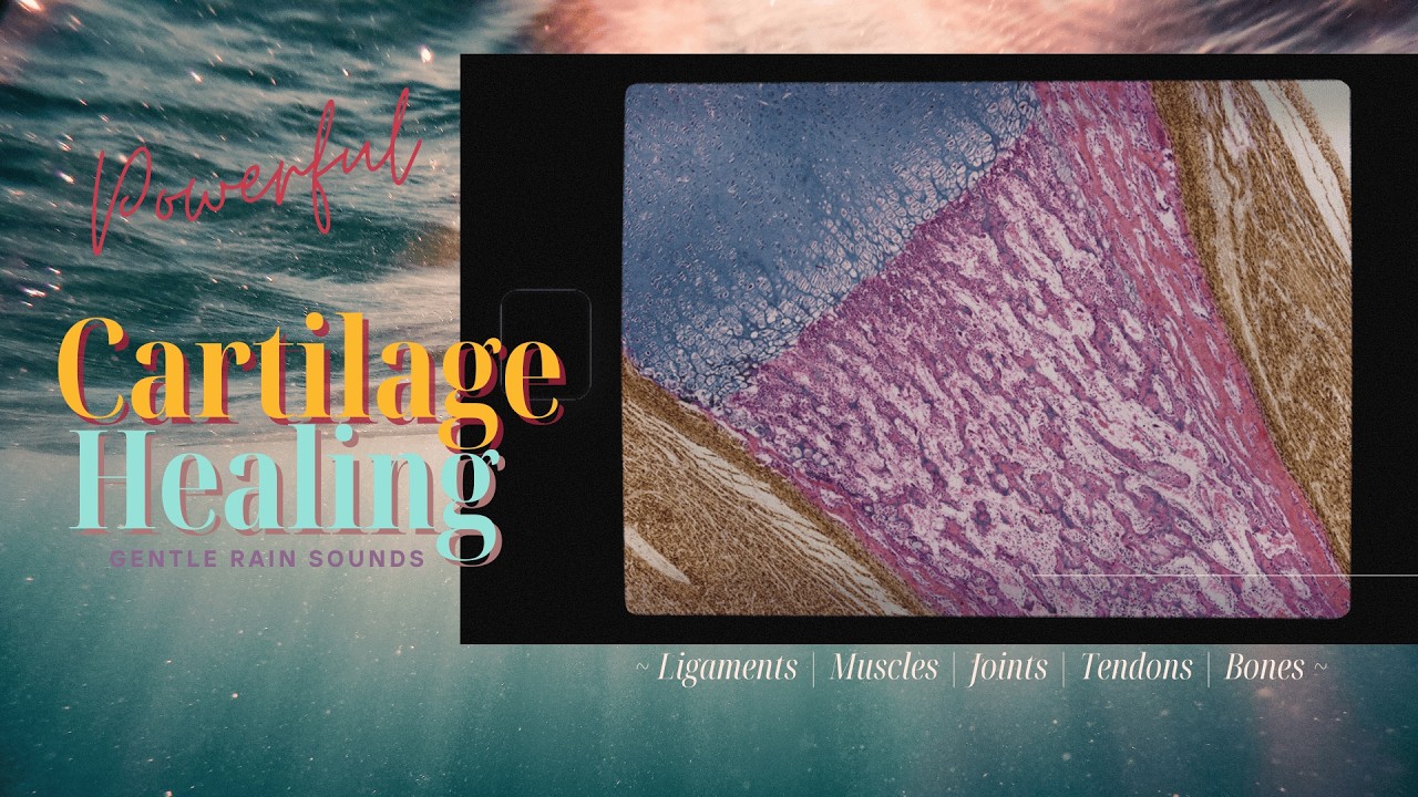 Powerful Cartilage Healing ~ Ligaments | Muscles | Joints | Tendons ...