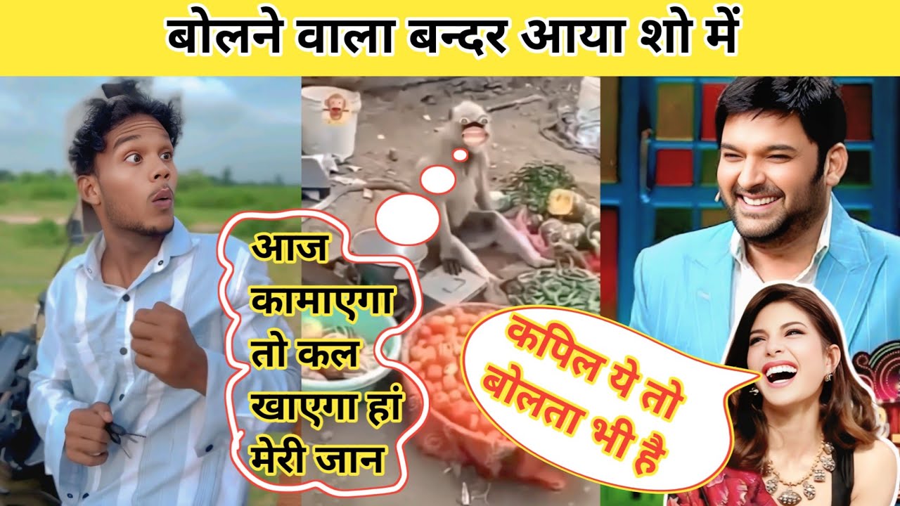 👉 बोलने वाला बन्दर आया शो में | Suraj Rocks | Funny Talking Monkey Show ...