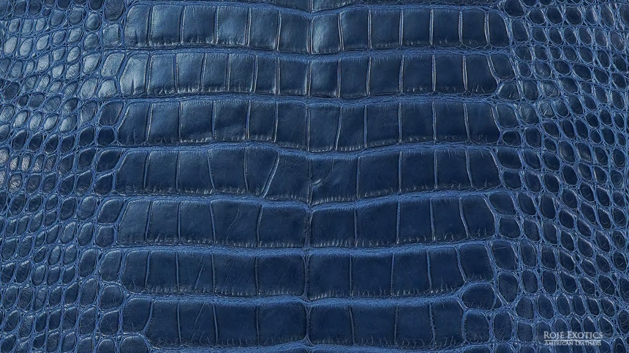 Alligator Navy Highlighted Scales Matte - YouTube