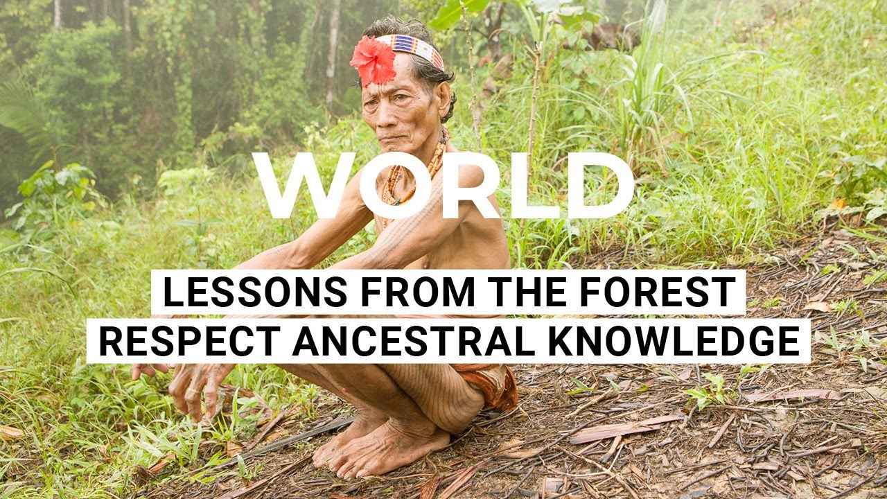 What can we learn from the forest? Respect Ancestral Knowledge - YouTube
