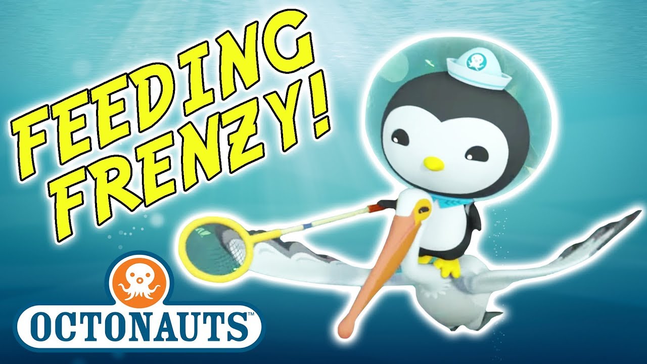 Octonauts - A Feeding Frenzy! | Pelican Power - YouTube