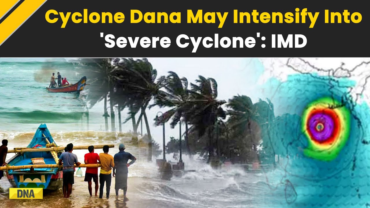 Cyclone Dana Alert: Cyclone May Further Intensify Into Severe Cyclonic ...