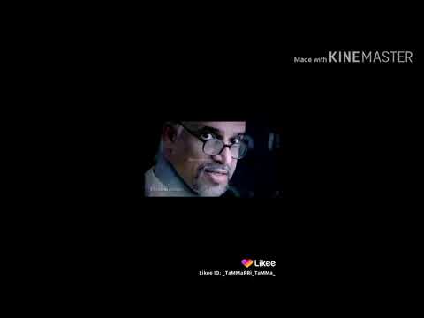 kulgili videolar to'plami 2020