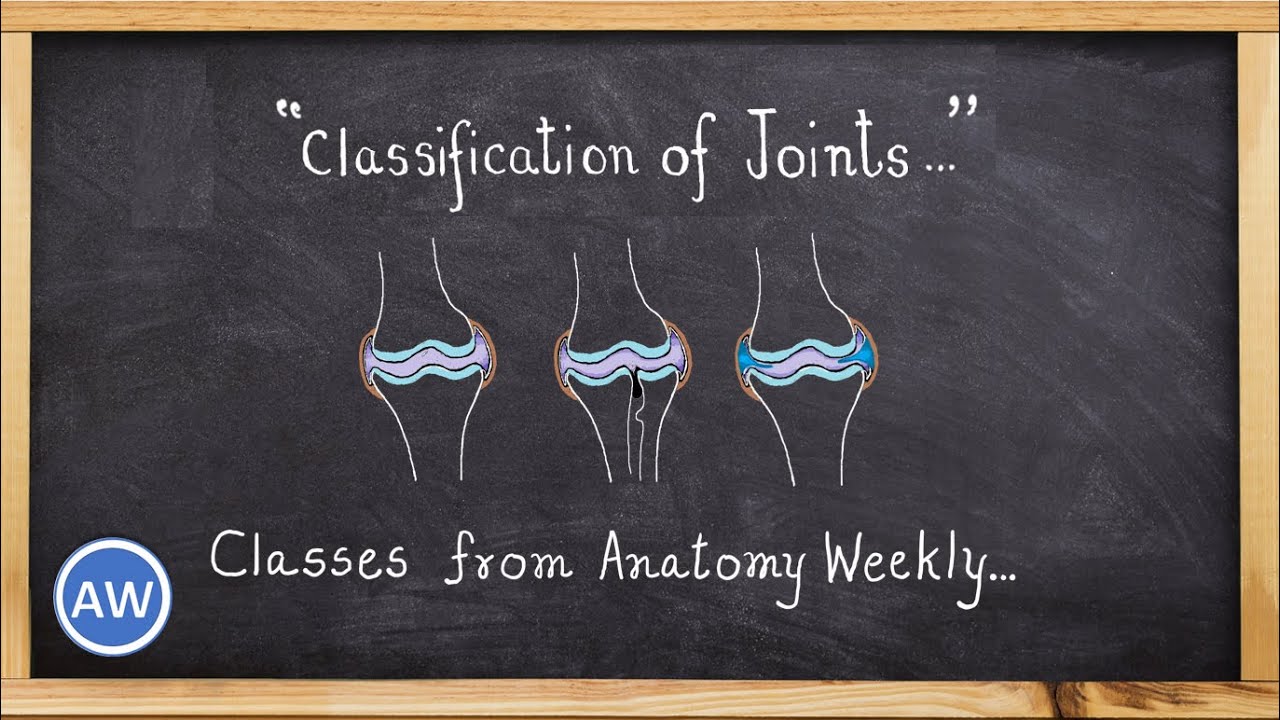 Classification of Joints || Classes from Anatomy Weekly || Anatomy ...