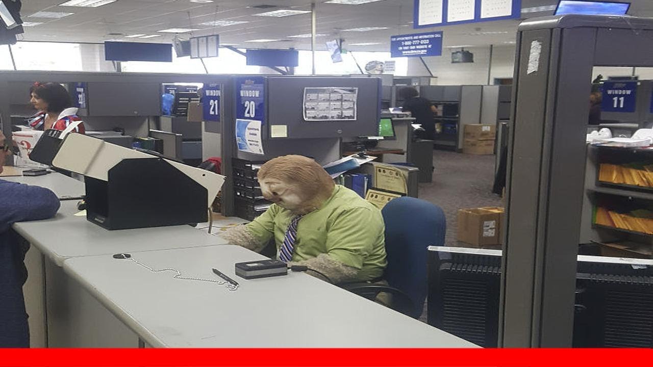 What Happens When Dmv Employees Have To Work On Halloween 😂 - YouTube