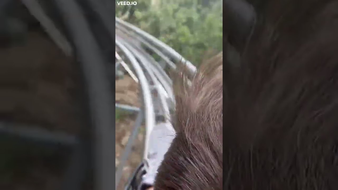 Canyon Coaster Williams Arizona - YouTube