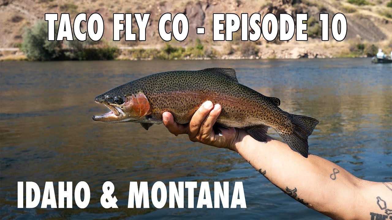 Taco Fly Co. Episode 10 - Idaho & Montana - YouTube