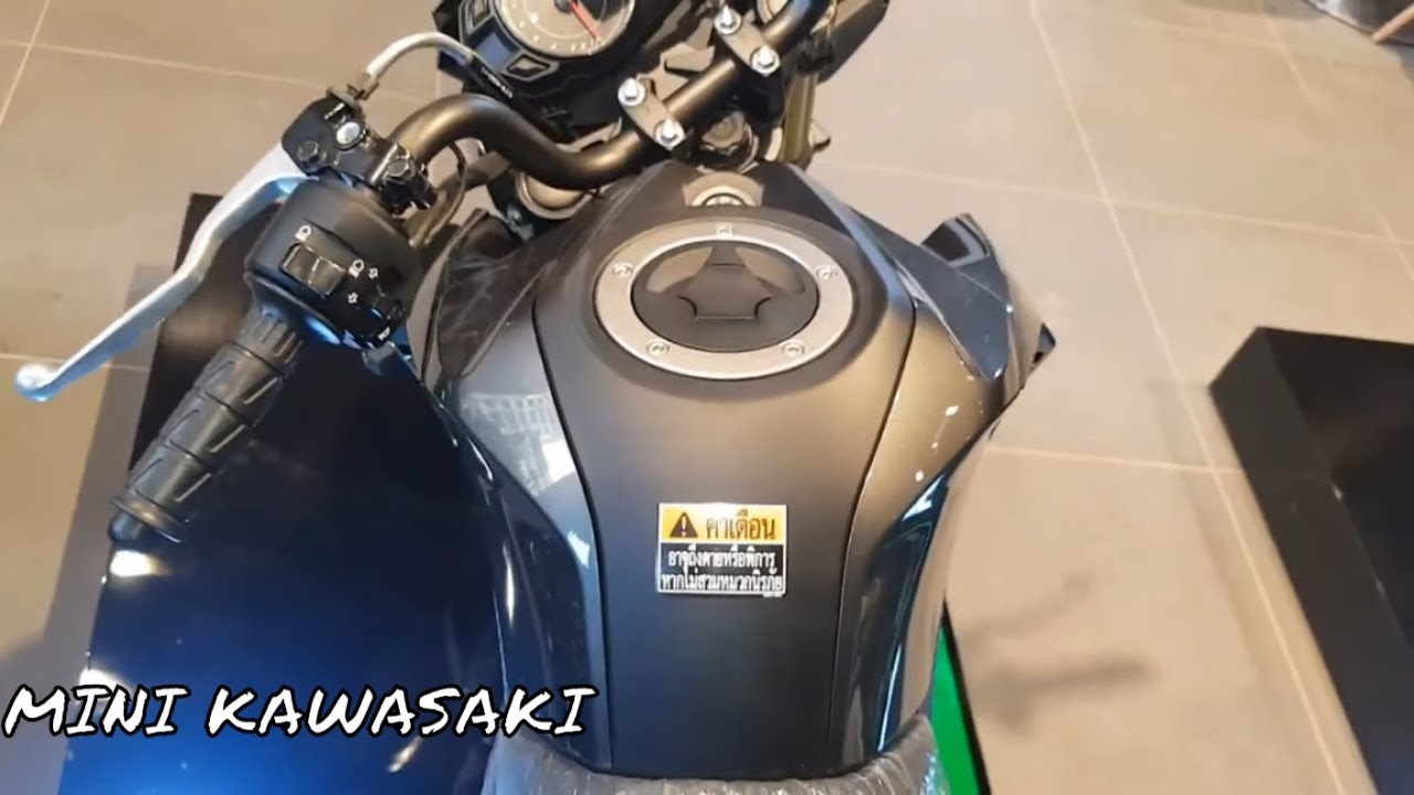 New Kawasaki 125 - PRO [ Z-125 ] 2019 Standard Category Mini Bike Price ...