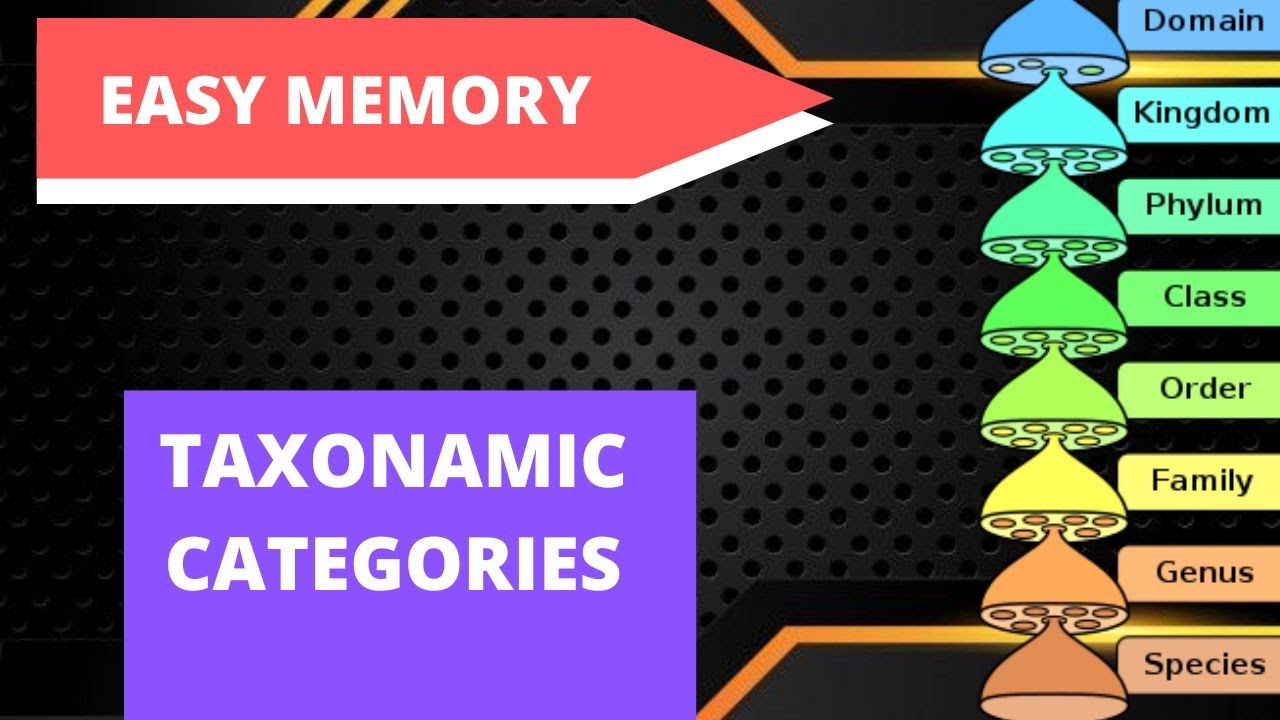 Easy memory | Taxonomic Categories | Dr.Rani.S.Dharan - YouTube