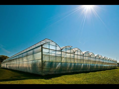 What are the different types of Greenhouse Structure? - YouTube
