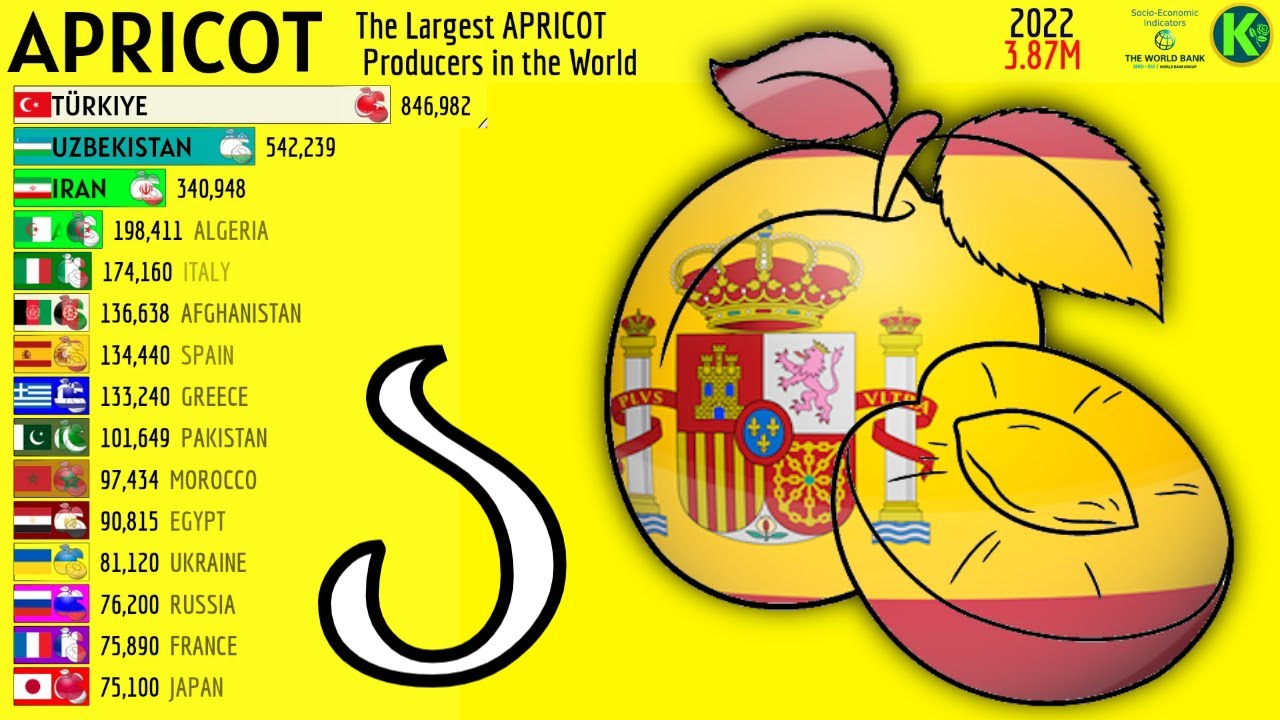 The Largest APRICOT Producers in the World - YouTube
