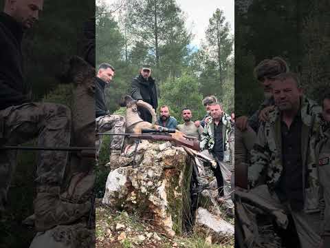 2025-2026 Av Sezonu Isparta Sütçüler Yazılıkaya YHGS Yerli Avcı Yaban Keçisi Beozar Ibex Hunting