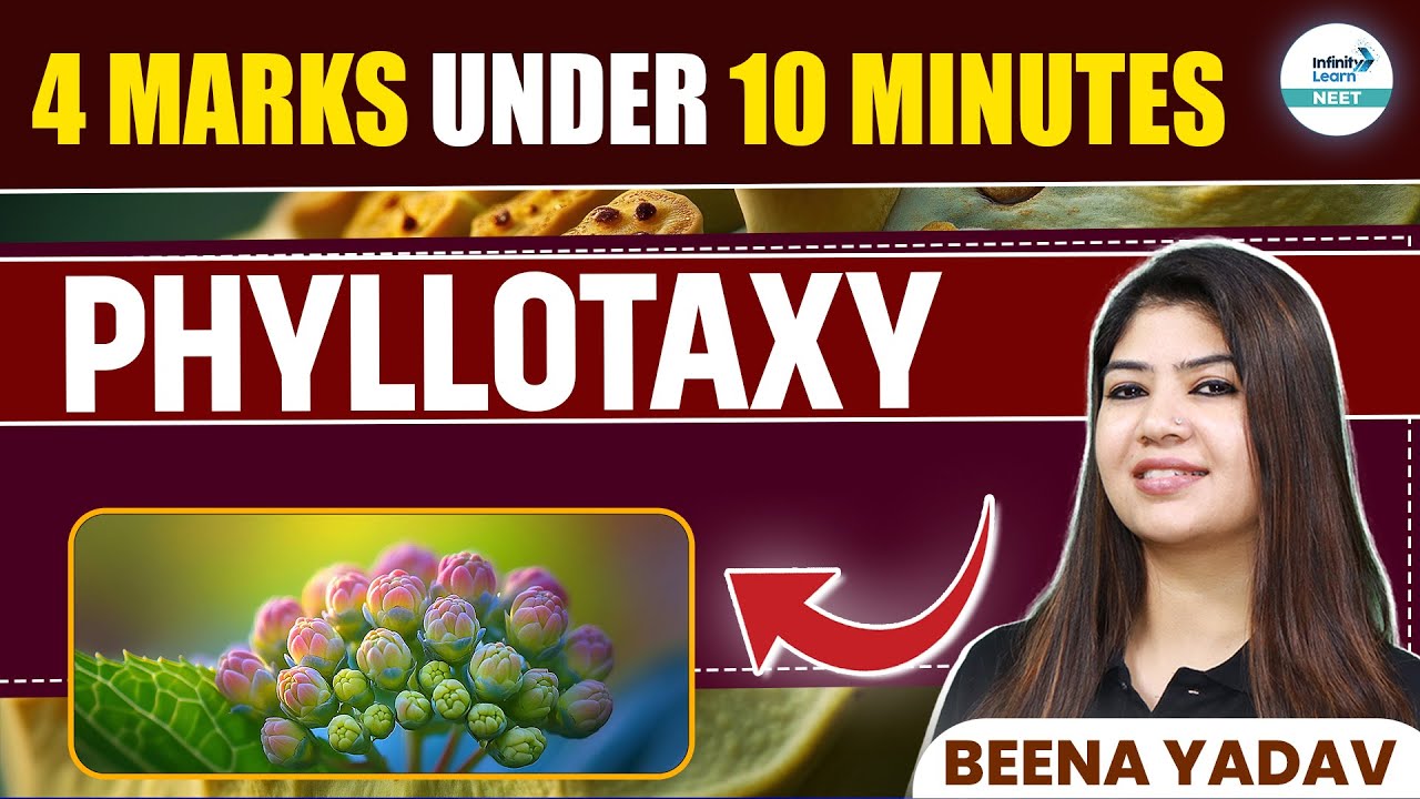 What is Phyllotaxy? Quick & Simple Explanation | NEET 2025 | Class 11 ...