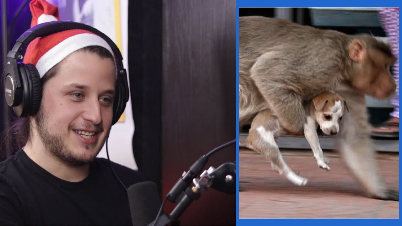 ¡ARRESTARON A UN CHANGO POR UN CRIMEN! - YouTube