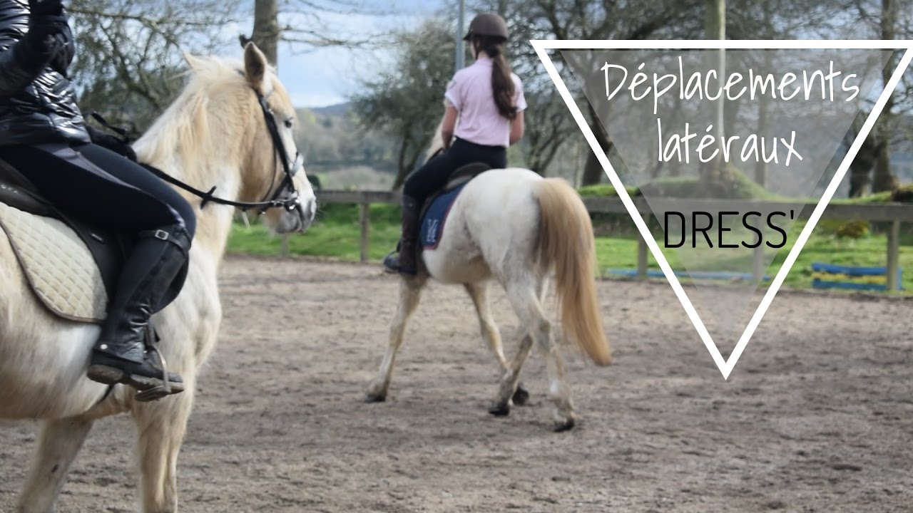 Cours de Dressage♥ Déplacements de hanches sur demi volte renversée ...