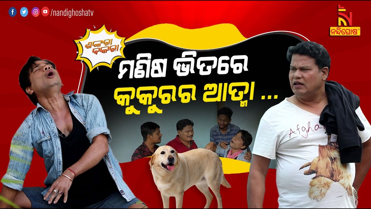 ମଣିଷ ଭିତରେ କୁକୁରର ଆତ୍ମା ... | Odia Comedy | Pragyan Shankar New Odia ...