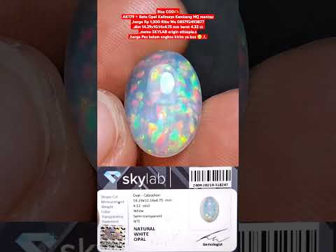 Bisa COD🫶AK179💥Batu Opal Kalimaya Kembang HQ mantap,harga Rp 1,300 Ribu Wa 085792493877,dim 14.2