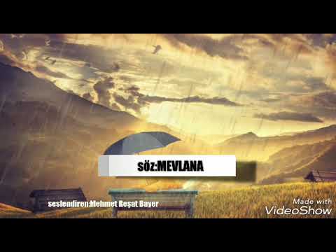 MEVLANA \