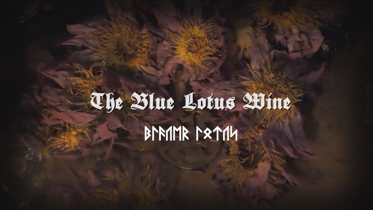 HERBOLOGY & ALCHEMY | Blue Lotus Wine (Nymphaea Caerulea) [Ritual ...