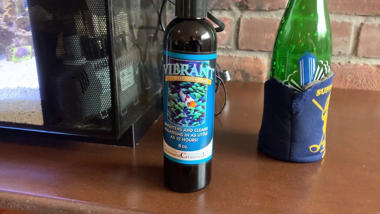 Using vibrant in a nano reef tank - YouTube