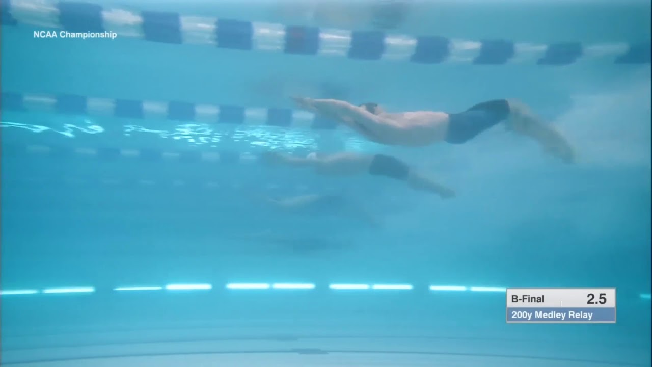 200 Medley Relay B final - Men's 2019 NCAA Swimming and Diving Champs ...