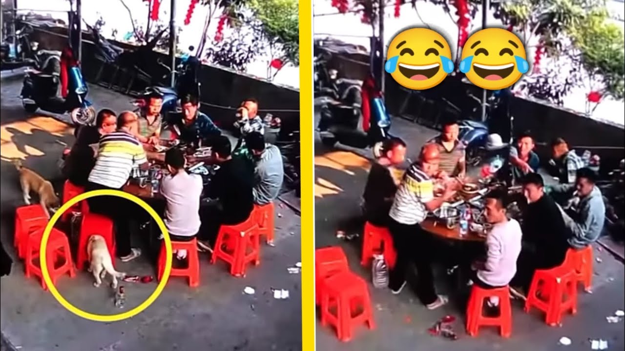Funny & incredible Moments Caught on Camera! - YouTube
