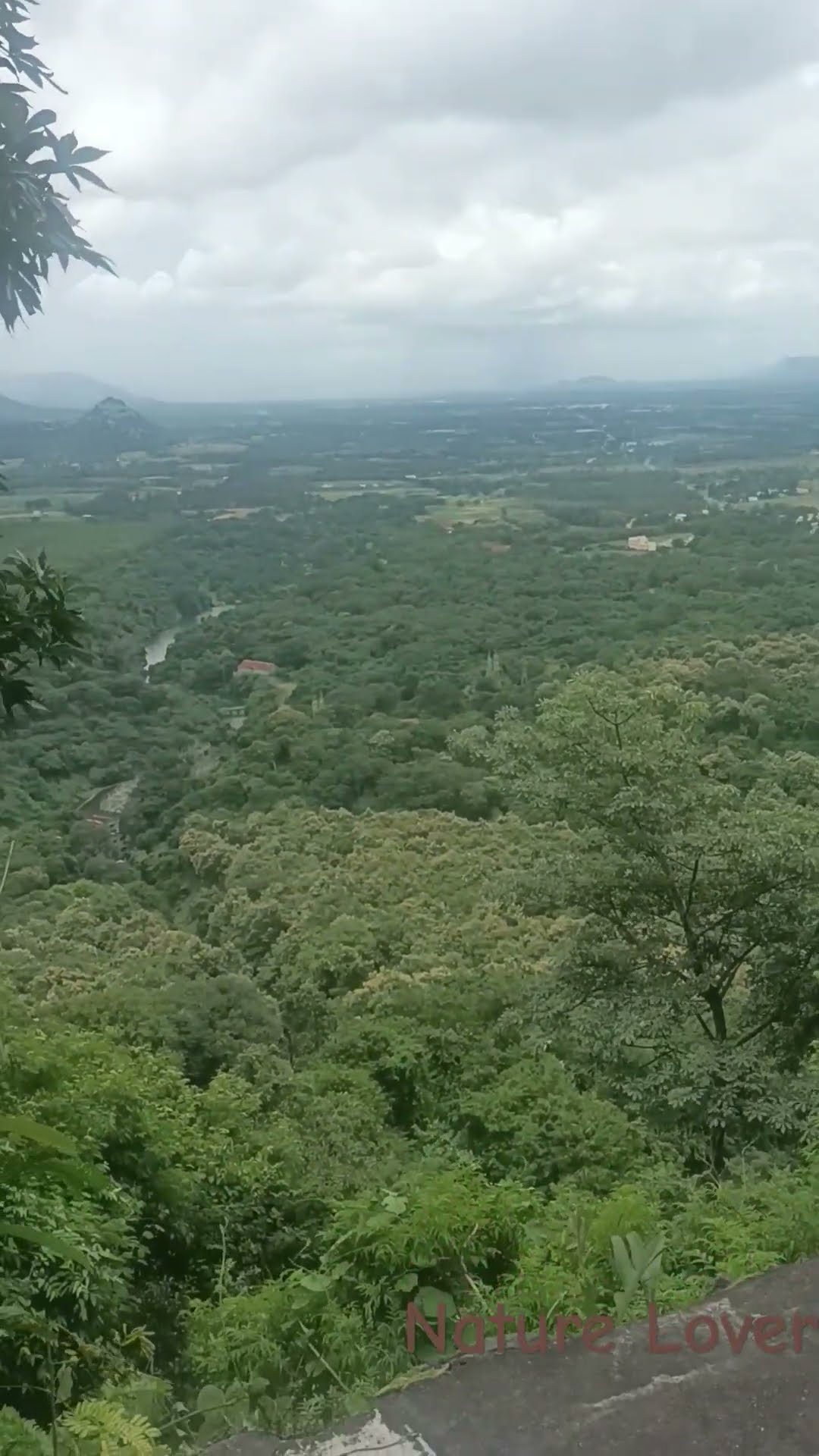 Beautiful nature in Tamilnadu Goodalloor 💞 ️ #nature #relaxing # ...