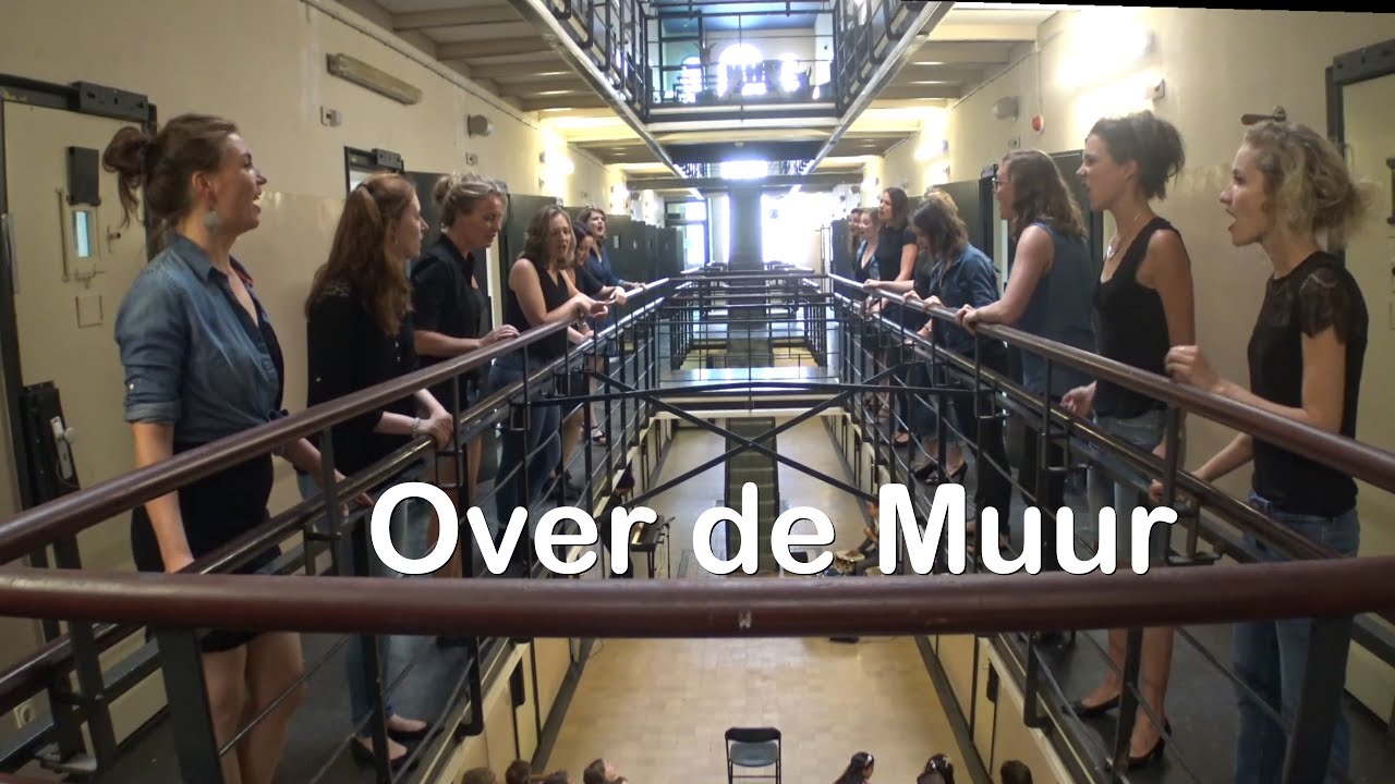 Over de Muur (Klein Orkest cover) - Divina Close Harmony - YouTube