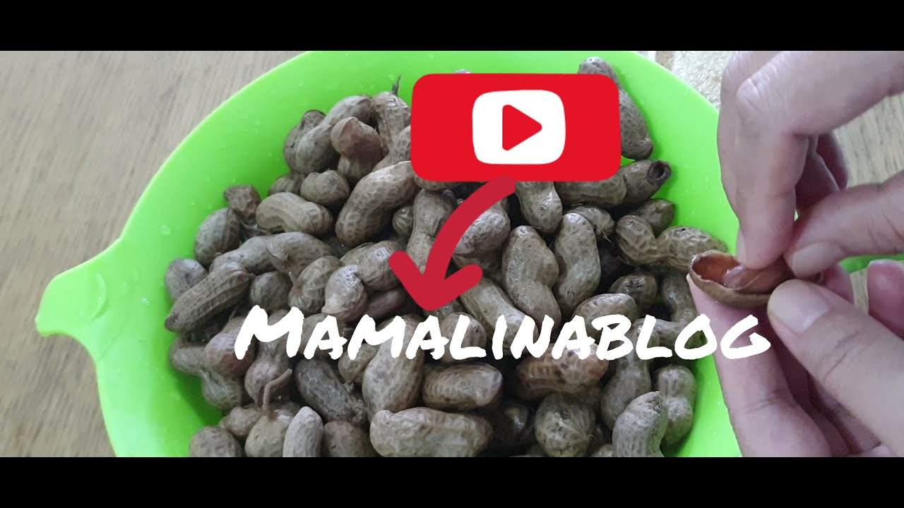 Cara Rebus Kacang Tanah Berkulit hingga lembut - YouTube