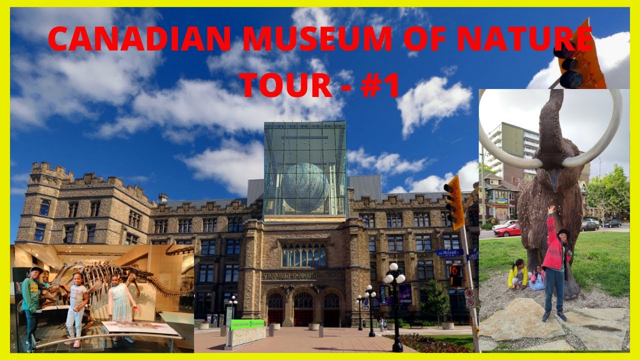 Canadian museum of nature tour-part 1 - YouTube