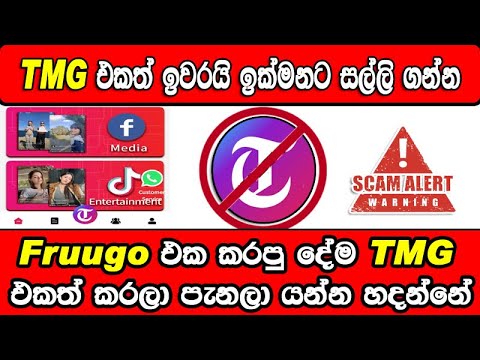 TMG SCAM | TMG Latest News | TMG Withdrawal Problem | TMG New Update ...