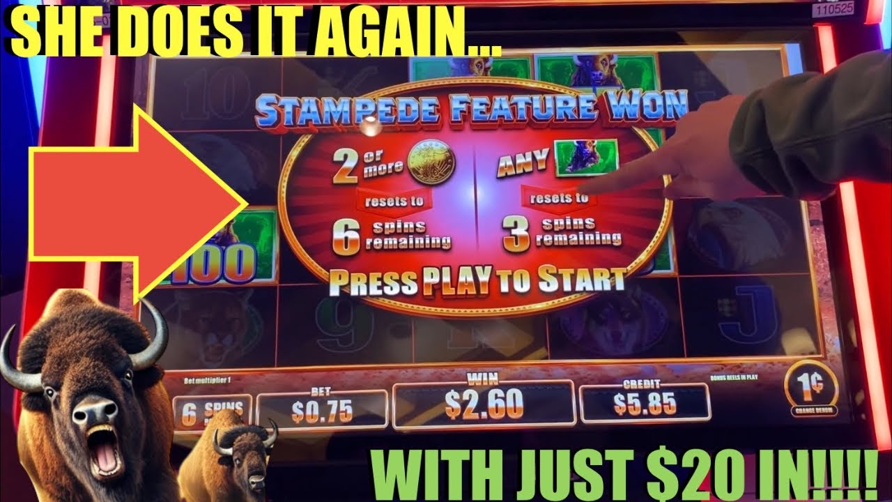 She Found A Full Meter Ultimate Stampede Buffalo Slot Machine…You Know ...