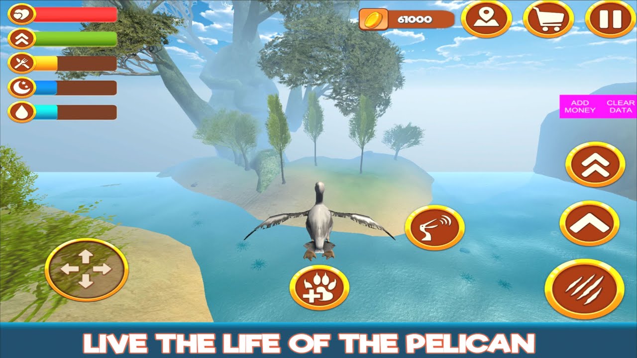 Pelican Simulator 3D: Bird Life Animal Simulators, - YouTube