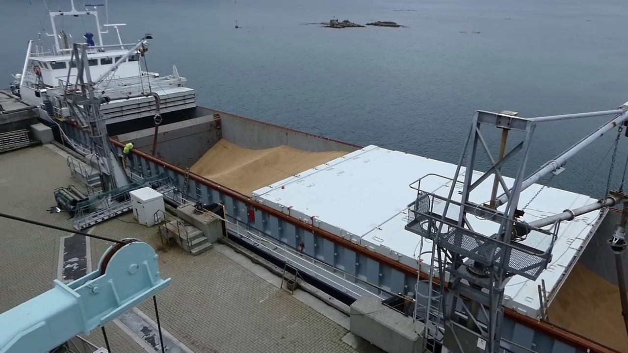 Barley ship Victress is unloaded at Port Ellen island of Islay Scotland ...