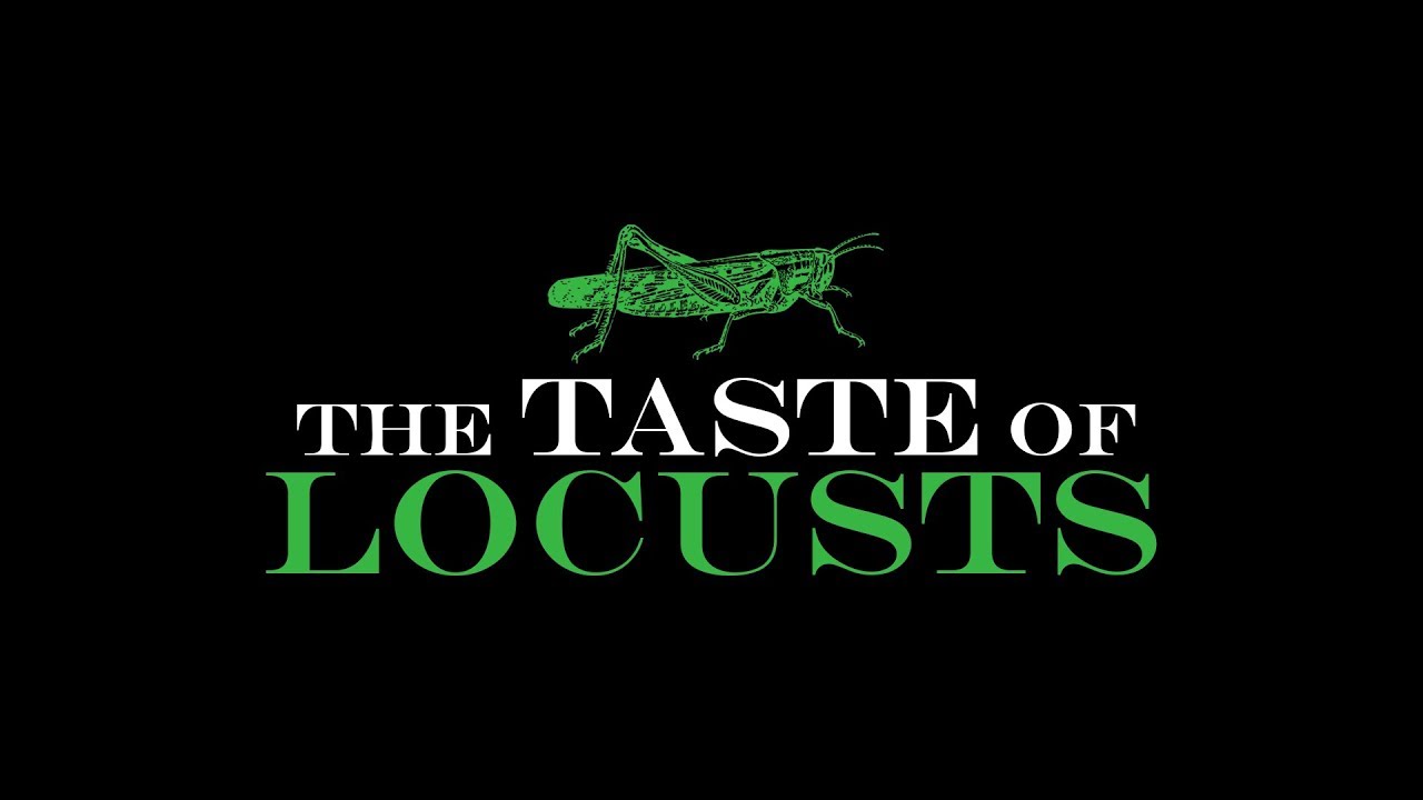 FBC Clayton – The Taste of Locusts - YouTube