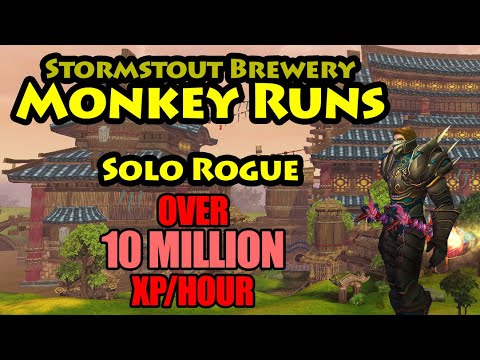 Solo Monkey Runs on Rogue + Pet Battles - Level up SUPER FAST & SUPER ...