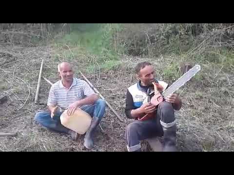 Mirt prikol saz    astara prikol